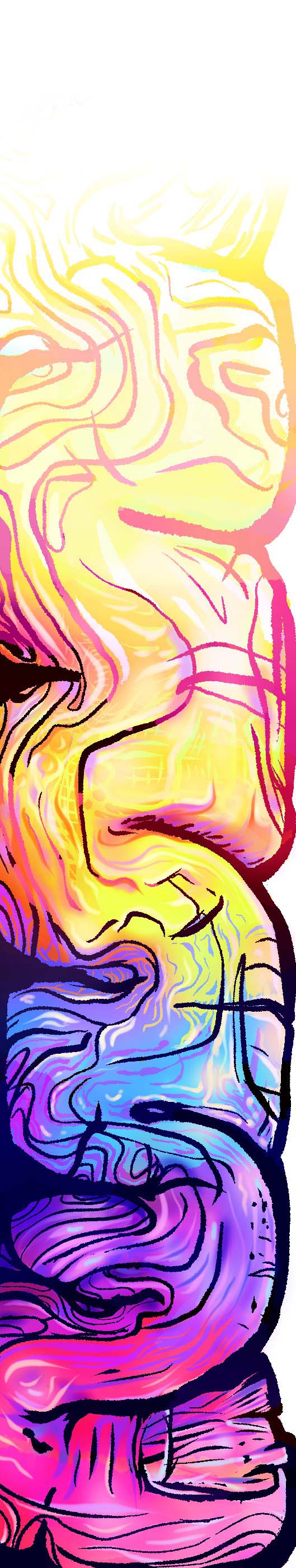 Finger of the Witch | The Walt Disney Family Museum