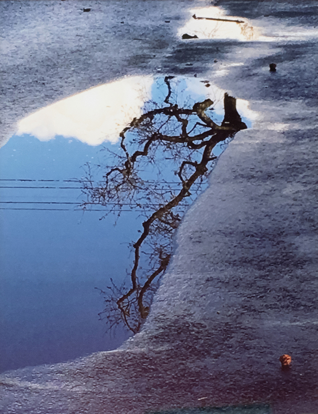 Winter Scene 3 | The Walt Disney Family Museum