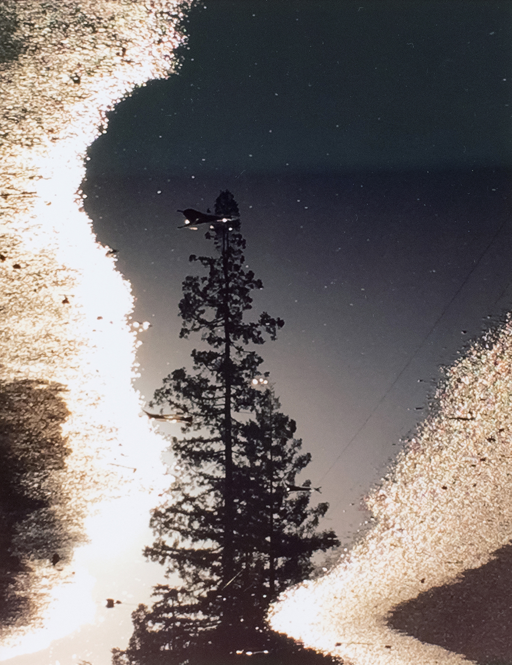 Winter Scene | The Walt Disney Family Museum