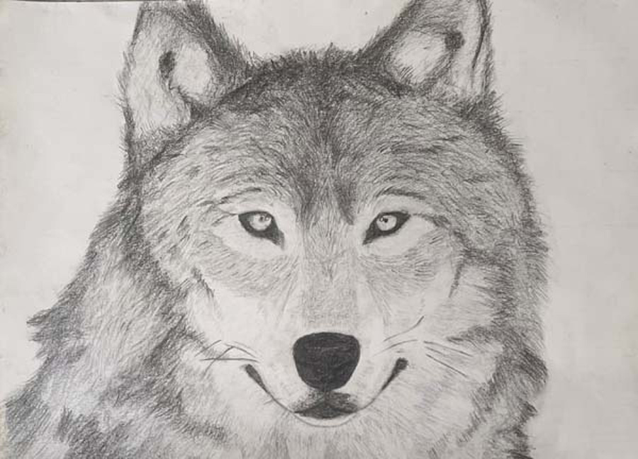 Wolf | The Walt Disney Family Museum