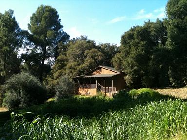 New Heights: Walt Disney’s Golden Oak Ranch | The Walt Disney Family Museum