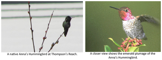 A Walk to The Walt Disney Family Museum | The Walt Disney Family Museum